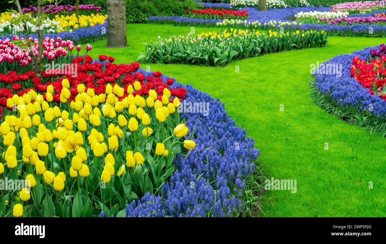 Landscape ideas for spring gardens. Scenery photo with original ...