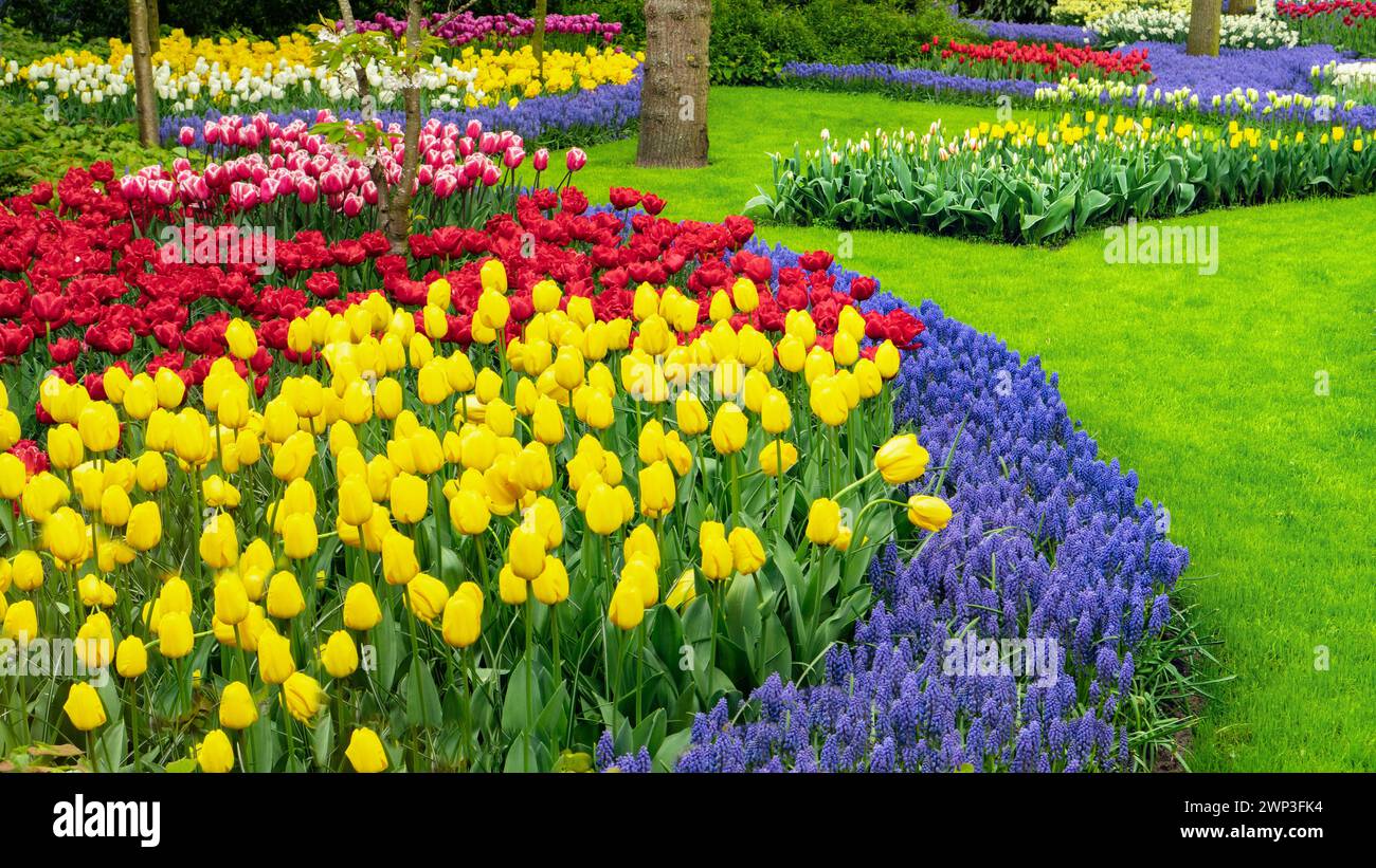 Round flower bed hi-res stock photography and images - Alamy