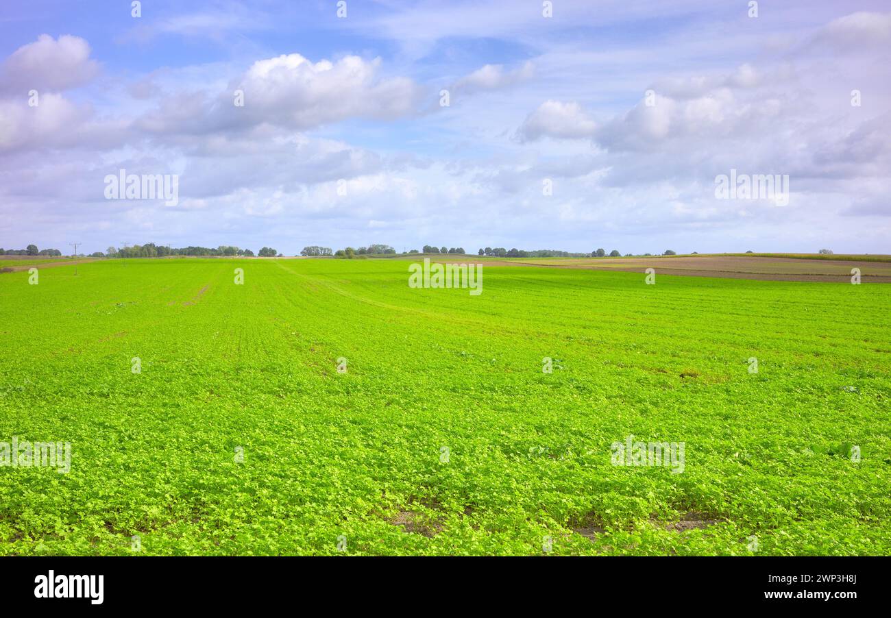 Selective farm focus hi-res stock photography and images - Alamy
