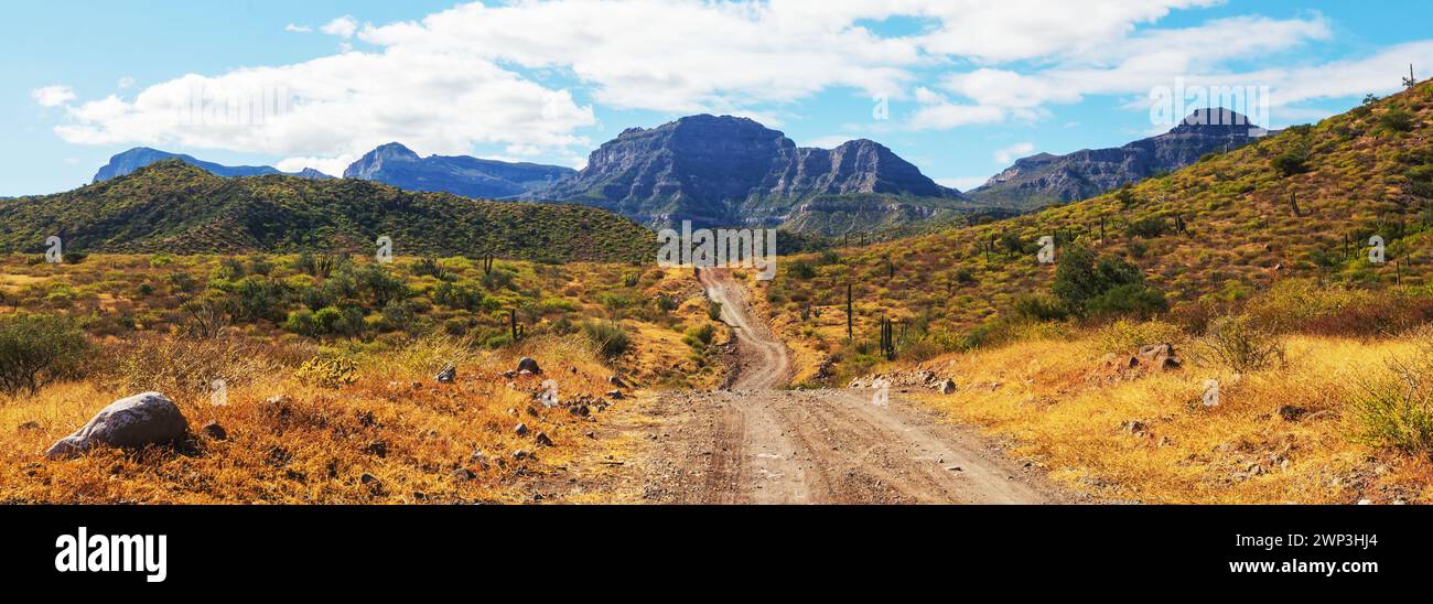 Beautiful natural landscapes in Baja California, Mexico Stock Photo - Alamy