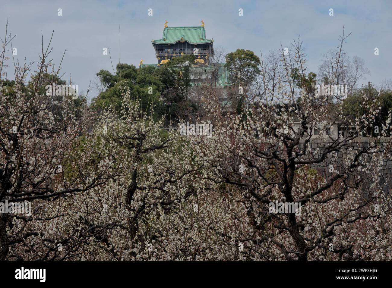 Osaka castles plum grove hi-res stock photography and images - Alamy