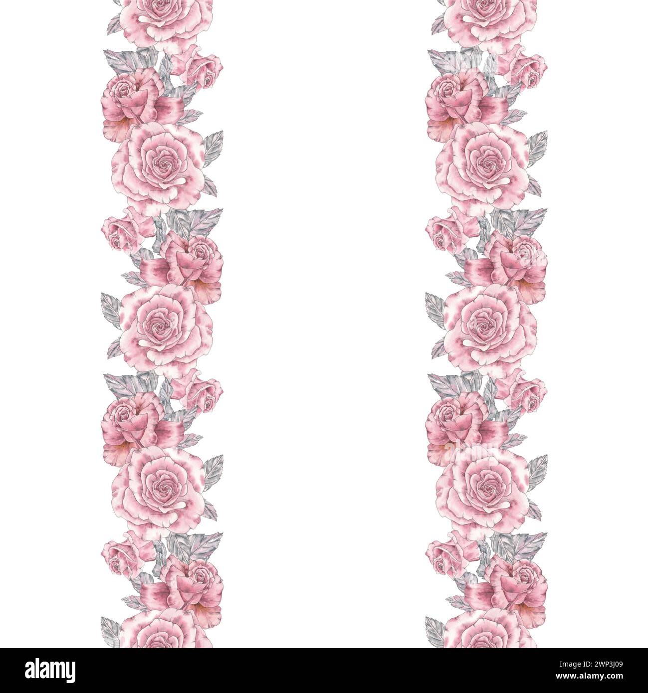 Seamless border pink rose Cut Out Stock Images & Pictures - Alamy