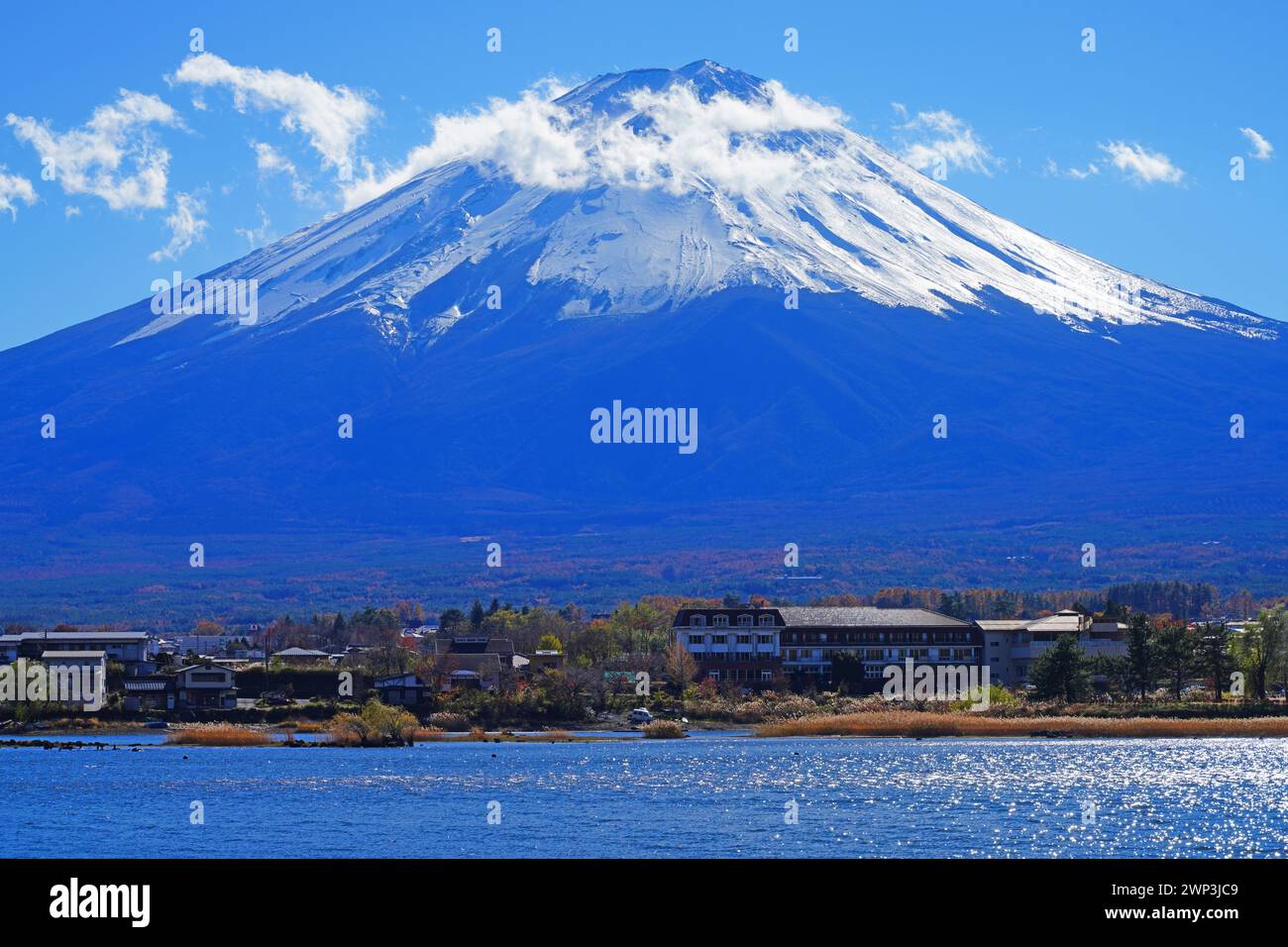 Day view of the snow-capped Mount Fuji in the fall in Lake Kawaguchi ...