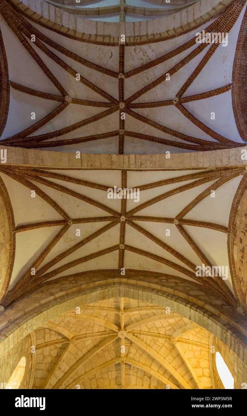 Ribbed vault ceiling of the nave of the Church of Our Lady of Mercy in ...