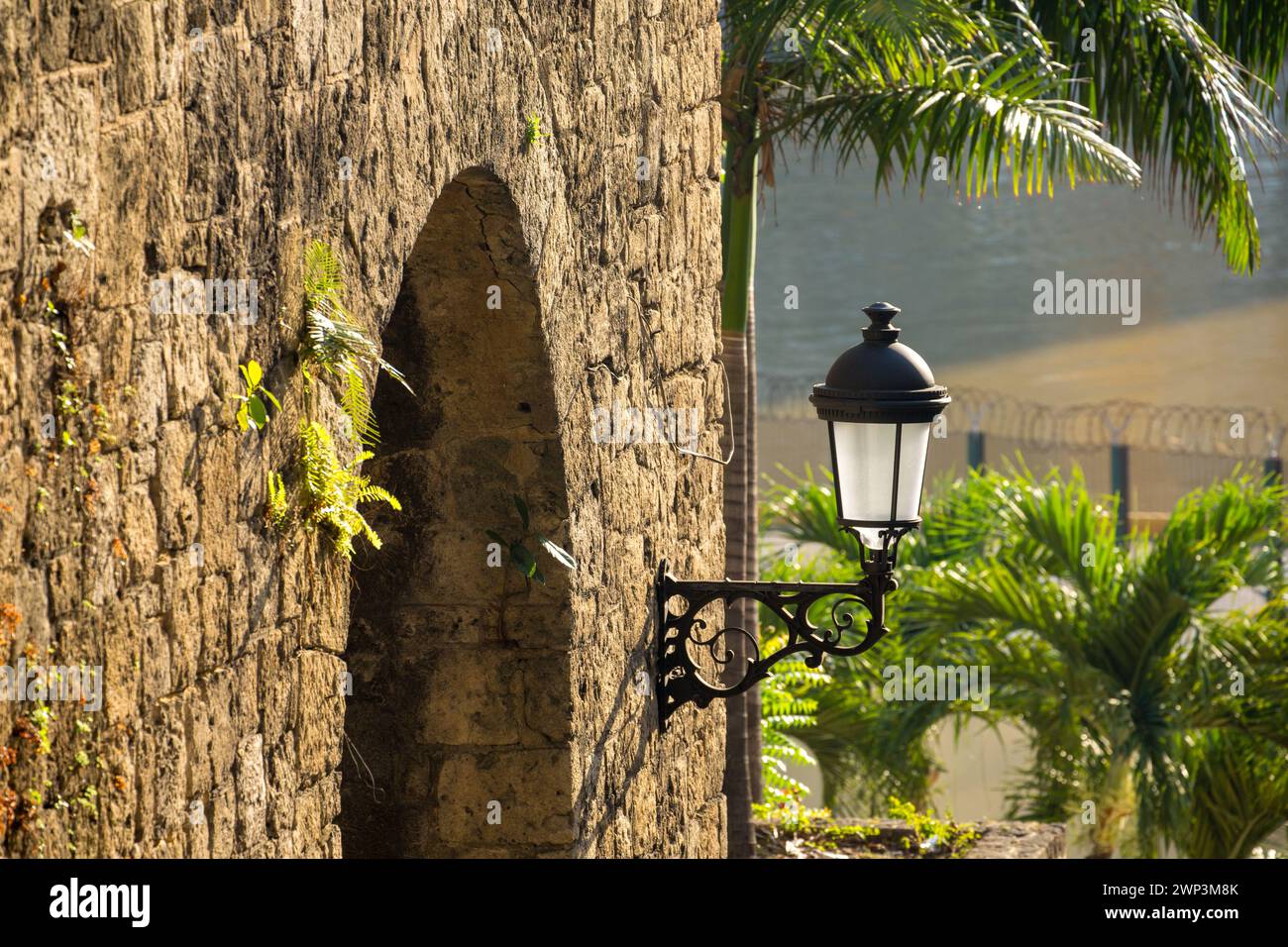 Ferns grow out of stonework of the city wall of the old Colonial City ...