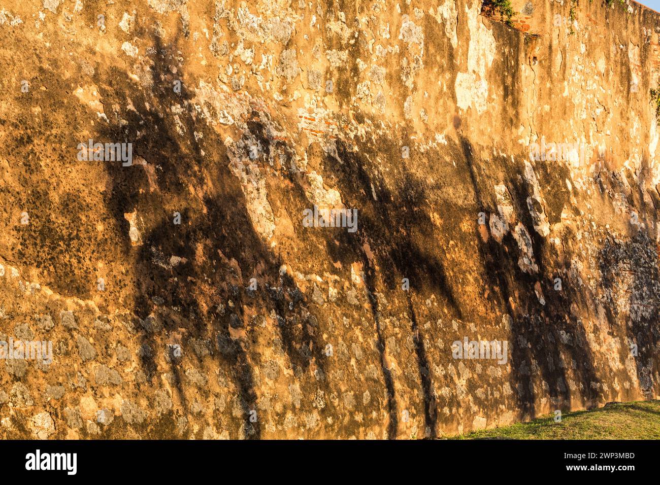 Shadows of palm trees on the city wall of the old Colonial City of ...