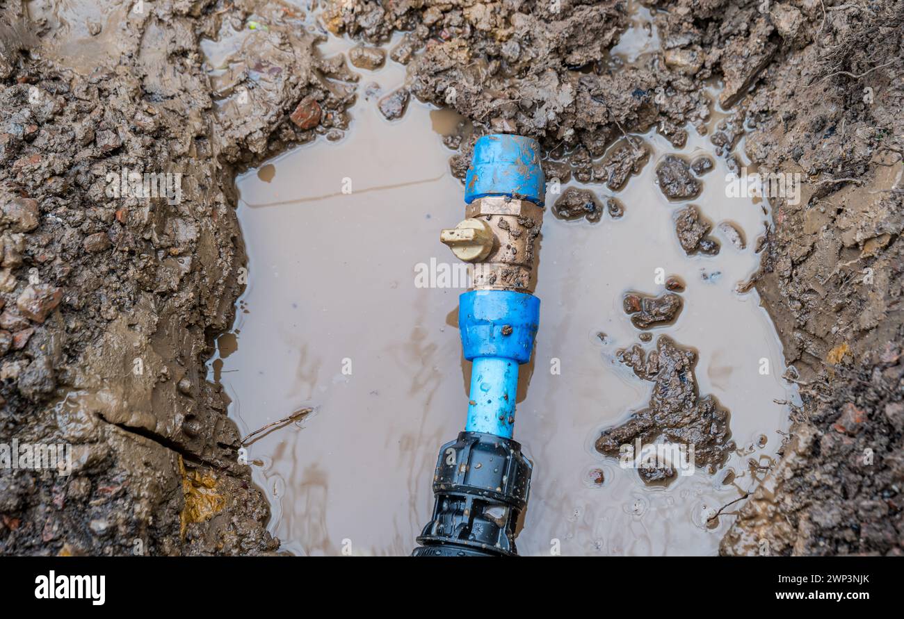 Garden back yard hi-res stock photography and images - Alamy