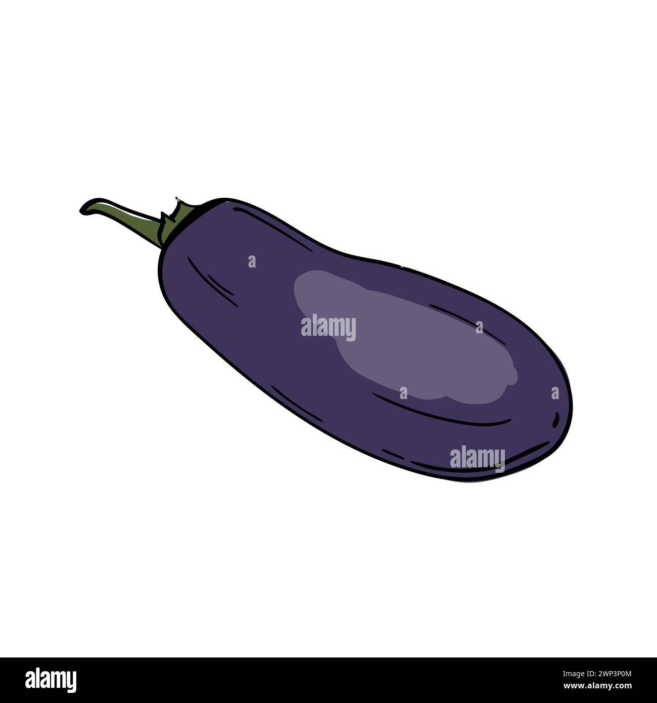 Eggplant. Vector hand drawn illustration of vegetable. Ingredient for ...