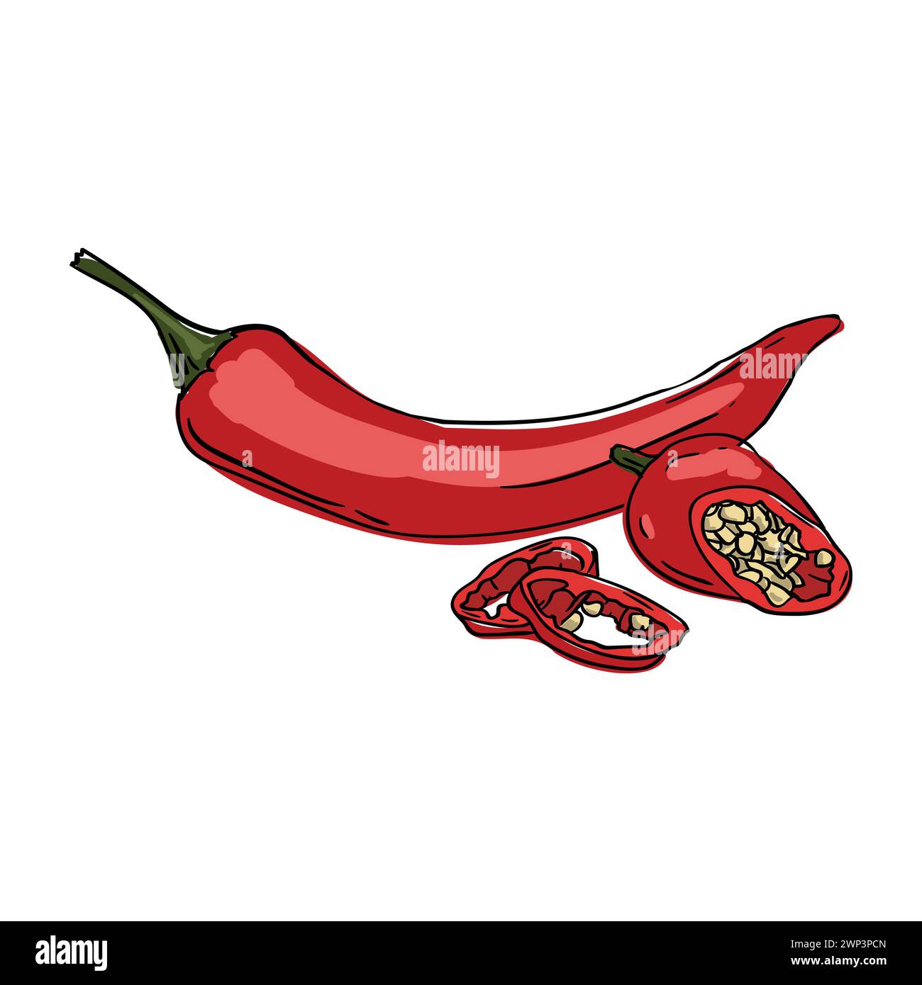 Hot pepper. Vector hand drawn illustration of vegetable. Ingredient for ...