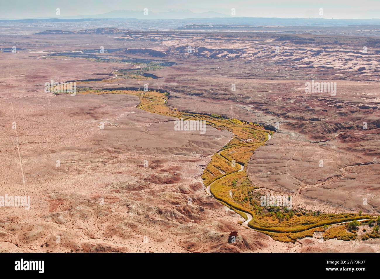 The riparian zone along the San Rafael River winding through the San ...