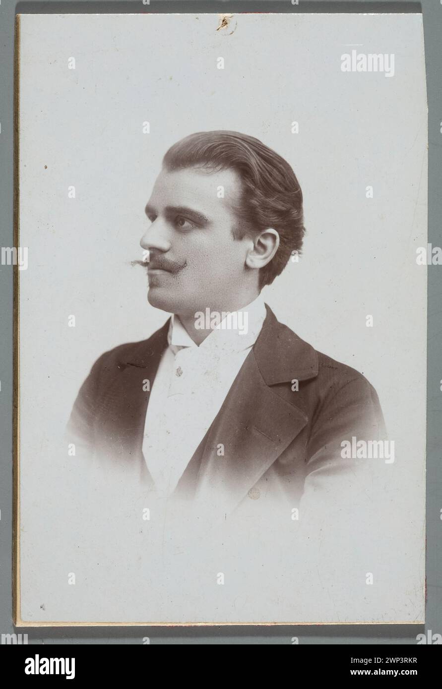 Portrait of the young man with the same (bust from the profile ...