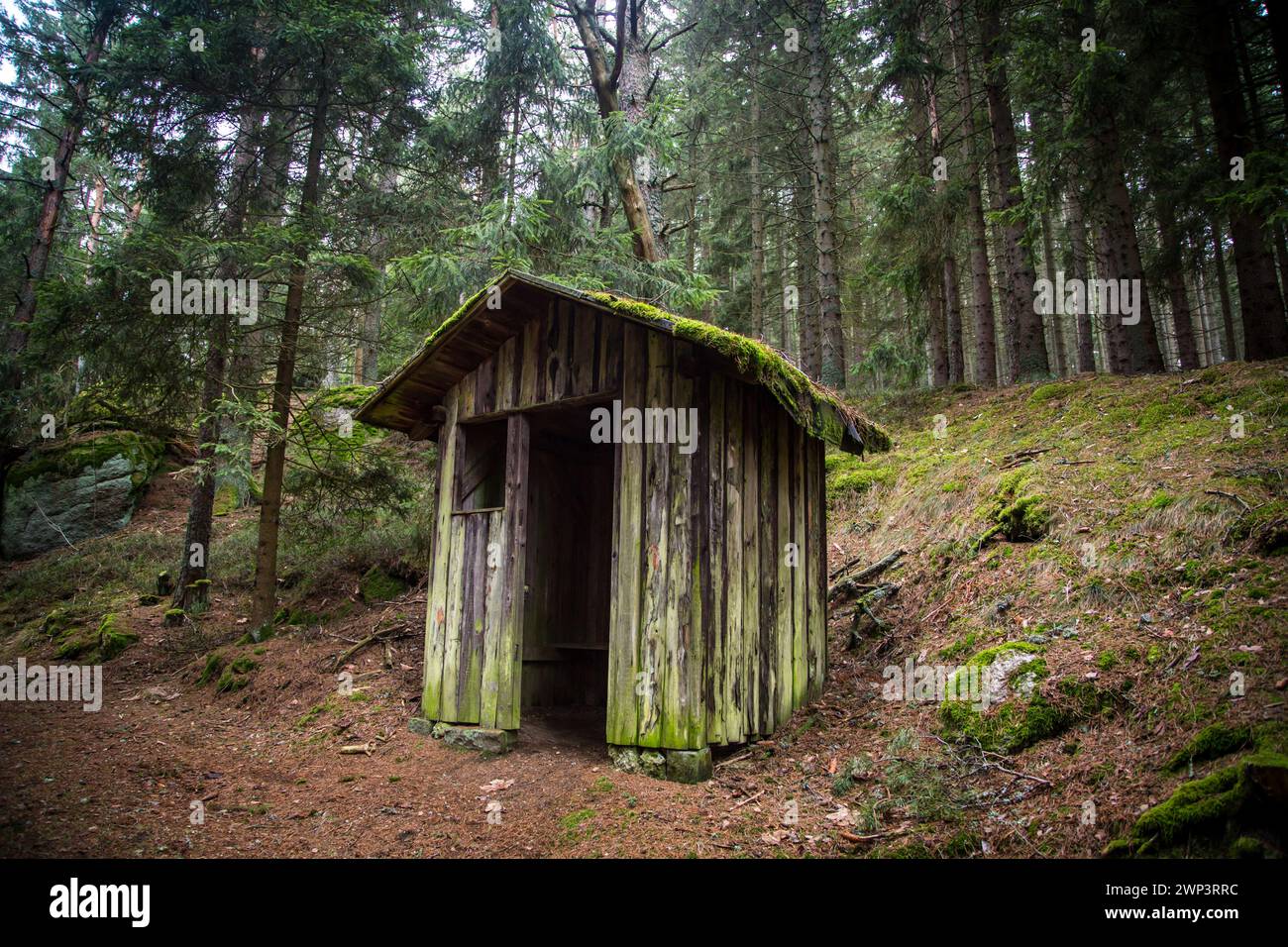 Old wooden shack - Waldviertel, Naturpark Scheiben (Bad Großpertholz ...
