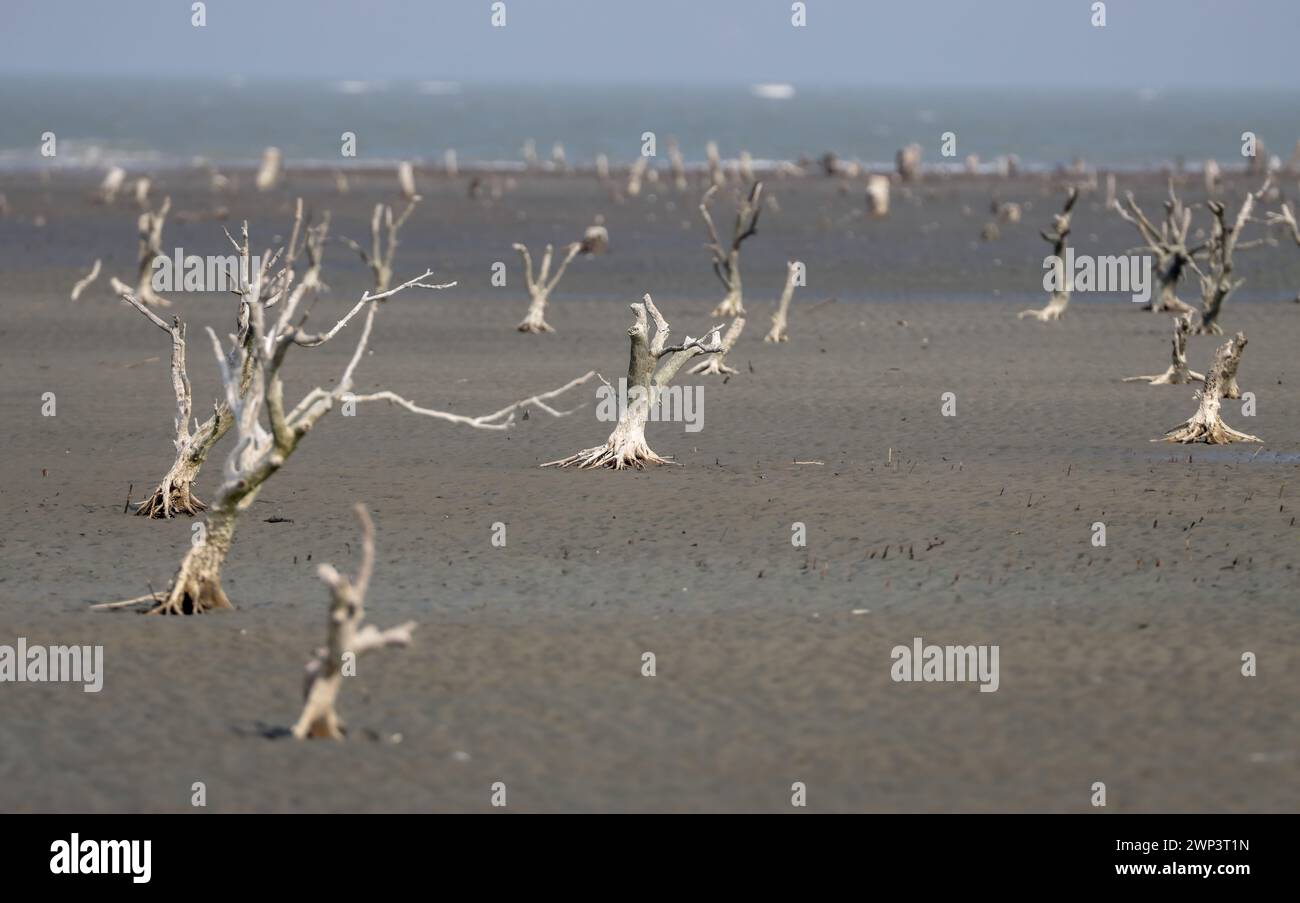 Sonadia island hi-res stock photography and images - Alamy