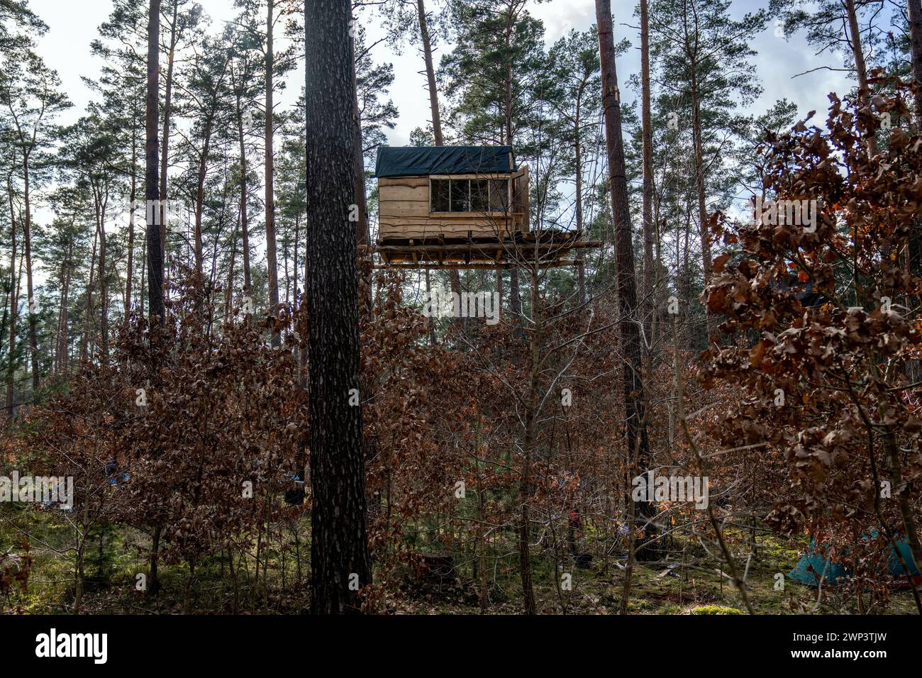 A view of tree houses set up by activists near the Tesla Gigafactory ...