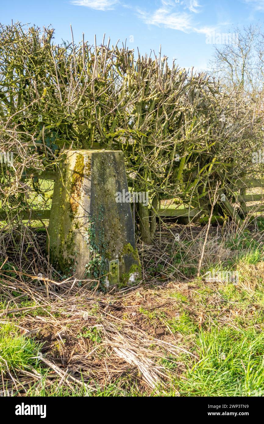Triangulation survey hi-res stock photography and images - Alamy