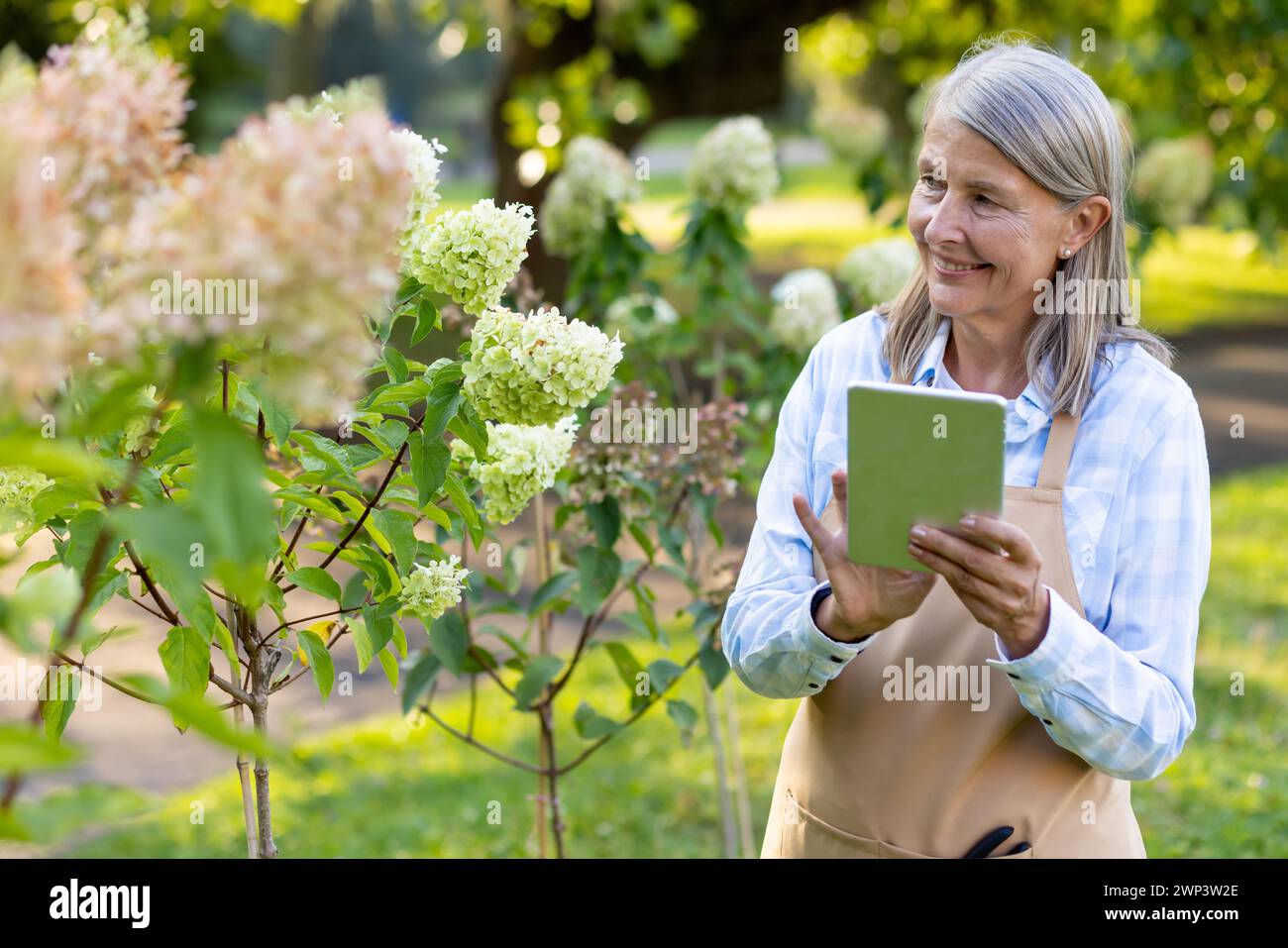 Women in science flowers hi-res stock photography and images - Alamy