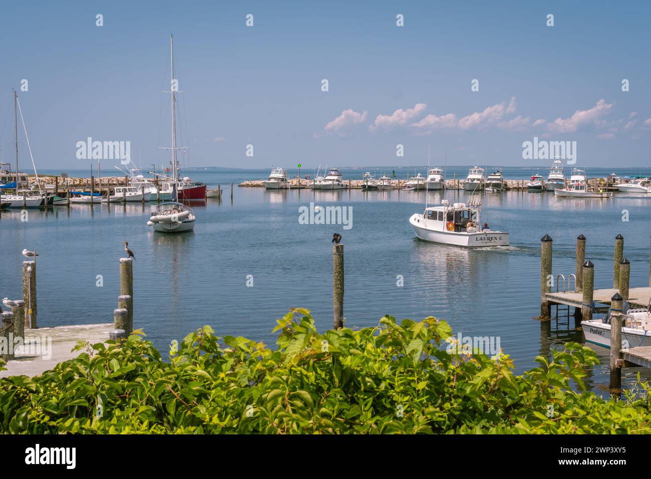 Menemsha, Chilmark, Martha's Vineyard, Massachusetts, US-July 20, 2023 ...