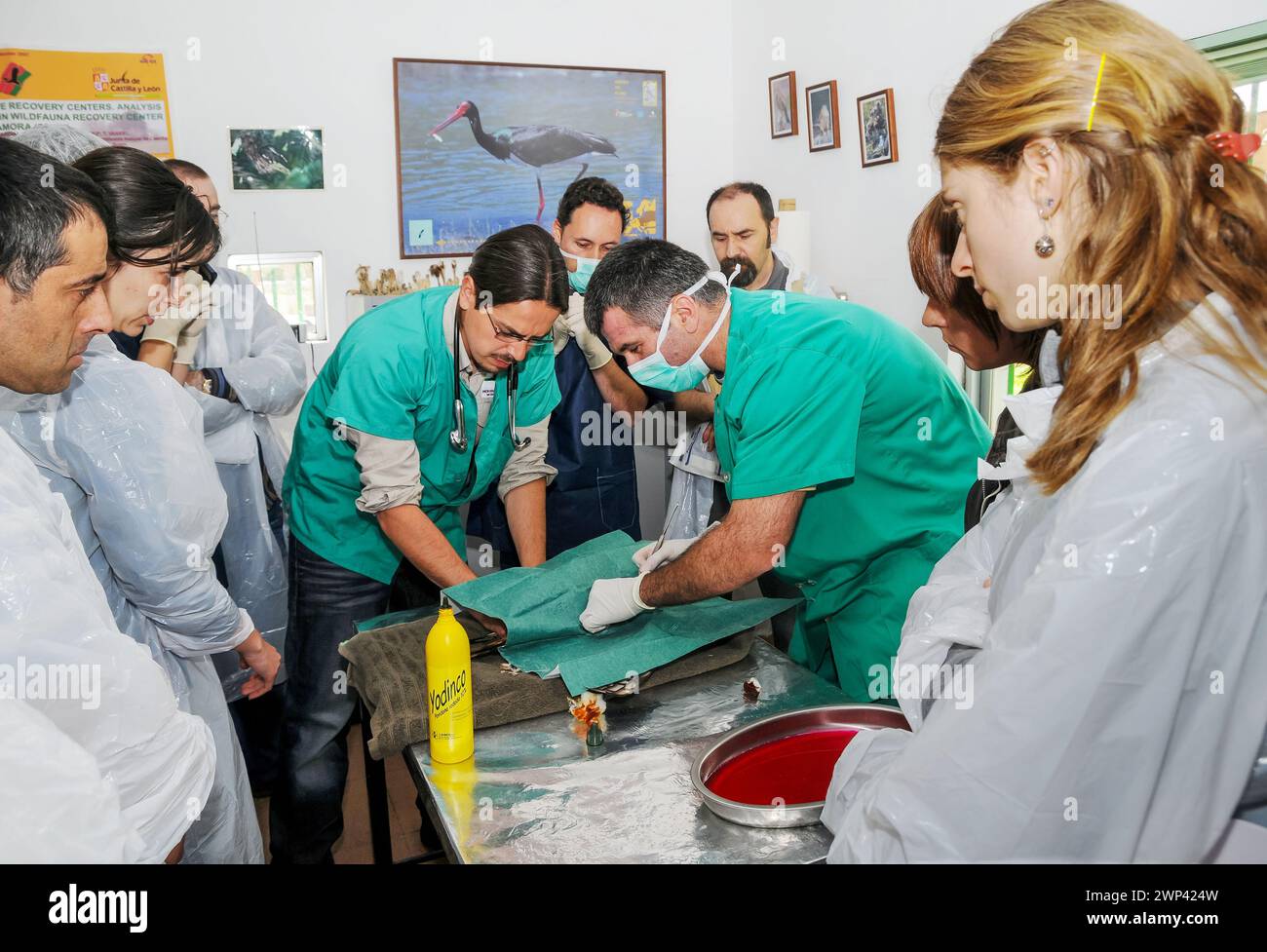 Veterinarian center hi-res stock photography and images - Alamy