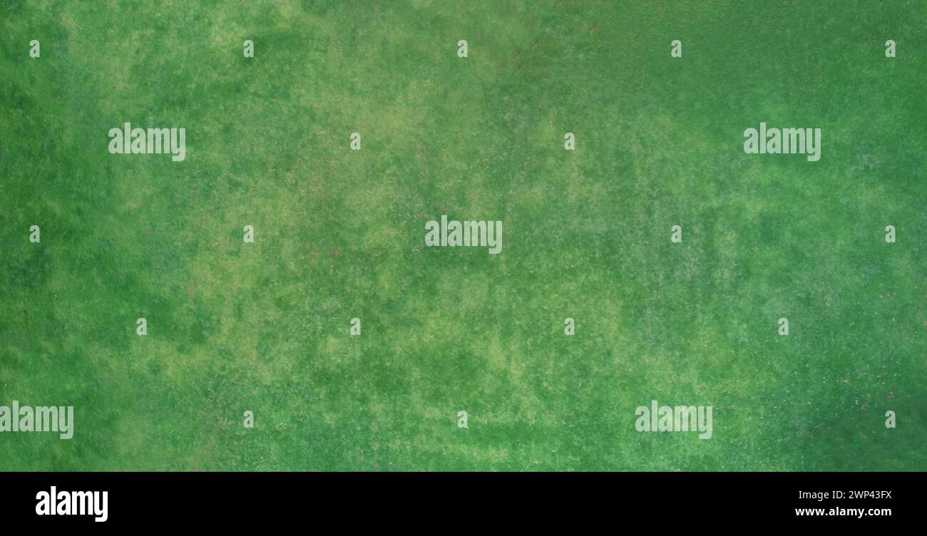 Grass texture top view hi-res stock photography and images - Alamy