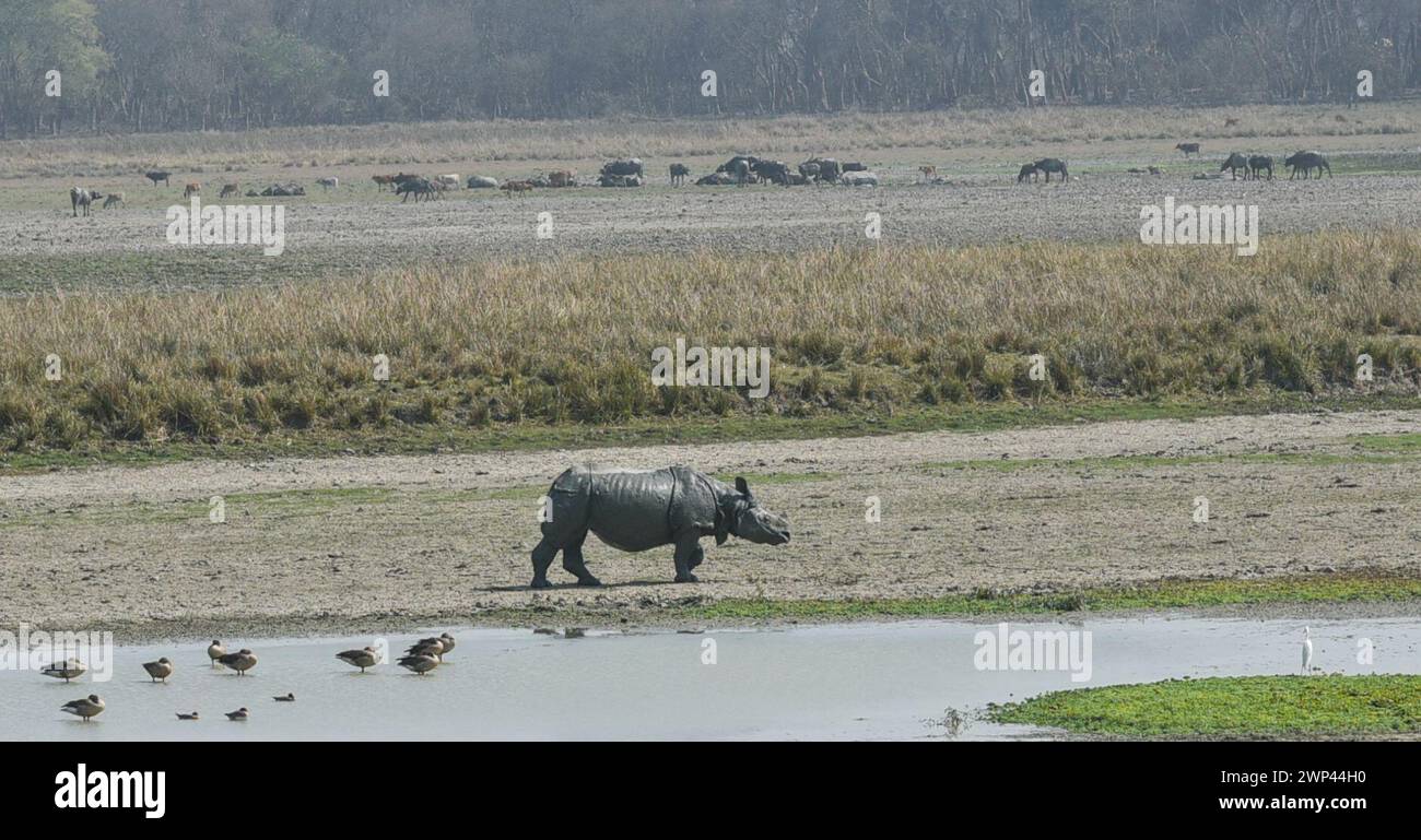 Morigaon india hi-res stock photography and images - Alamy