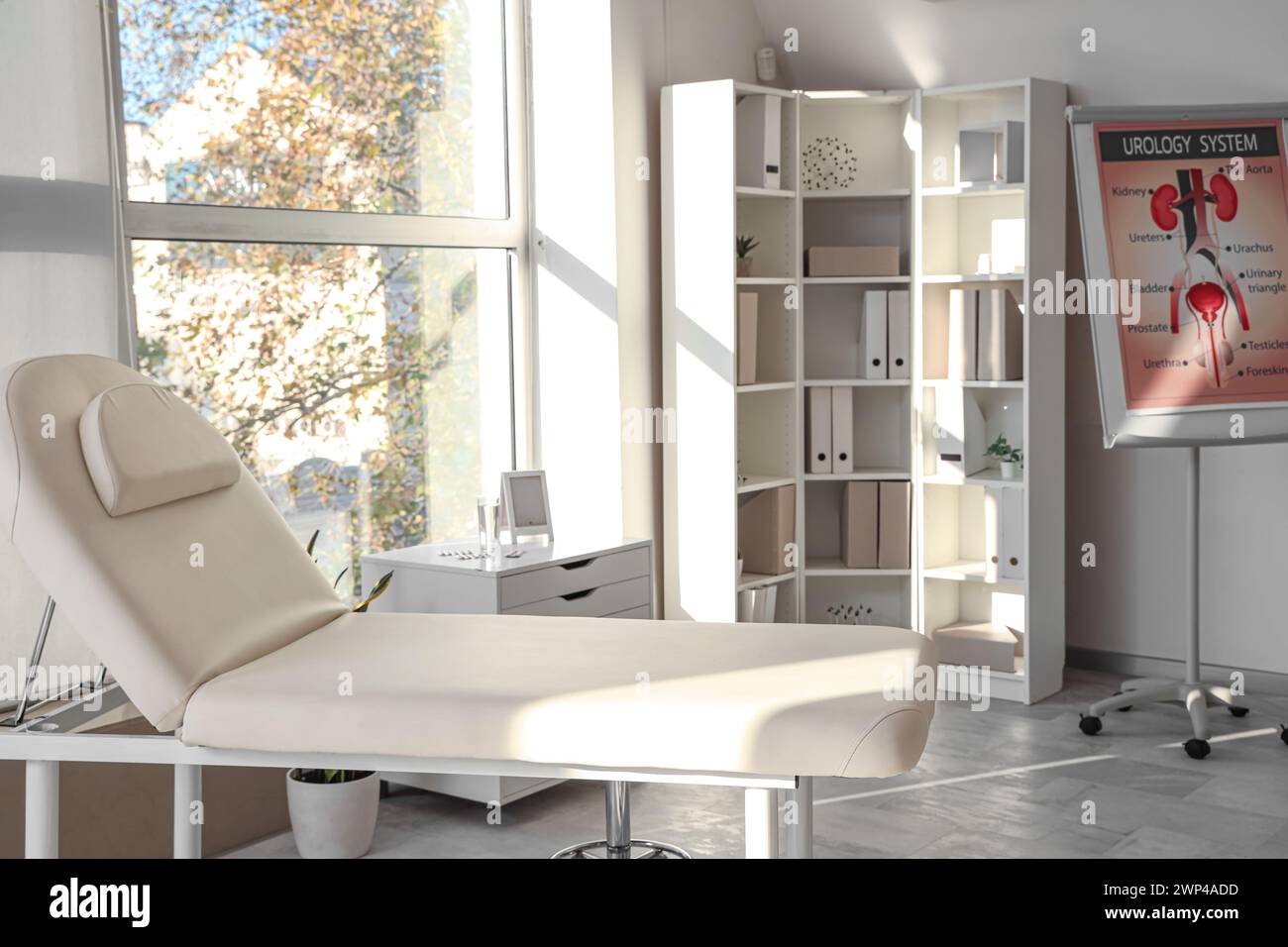 Medical couch in interior of doctor's office Stock Photo - Alamy