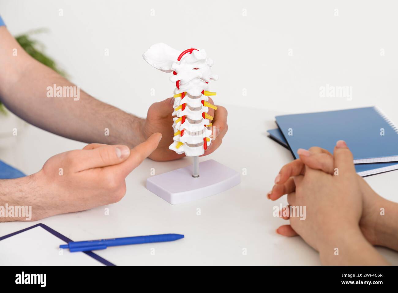 Male doctor explaining spinal anatomy with vertebral column model to ...