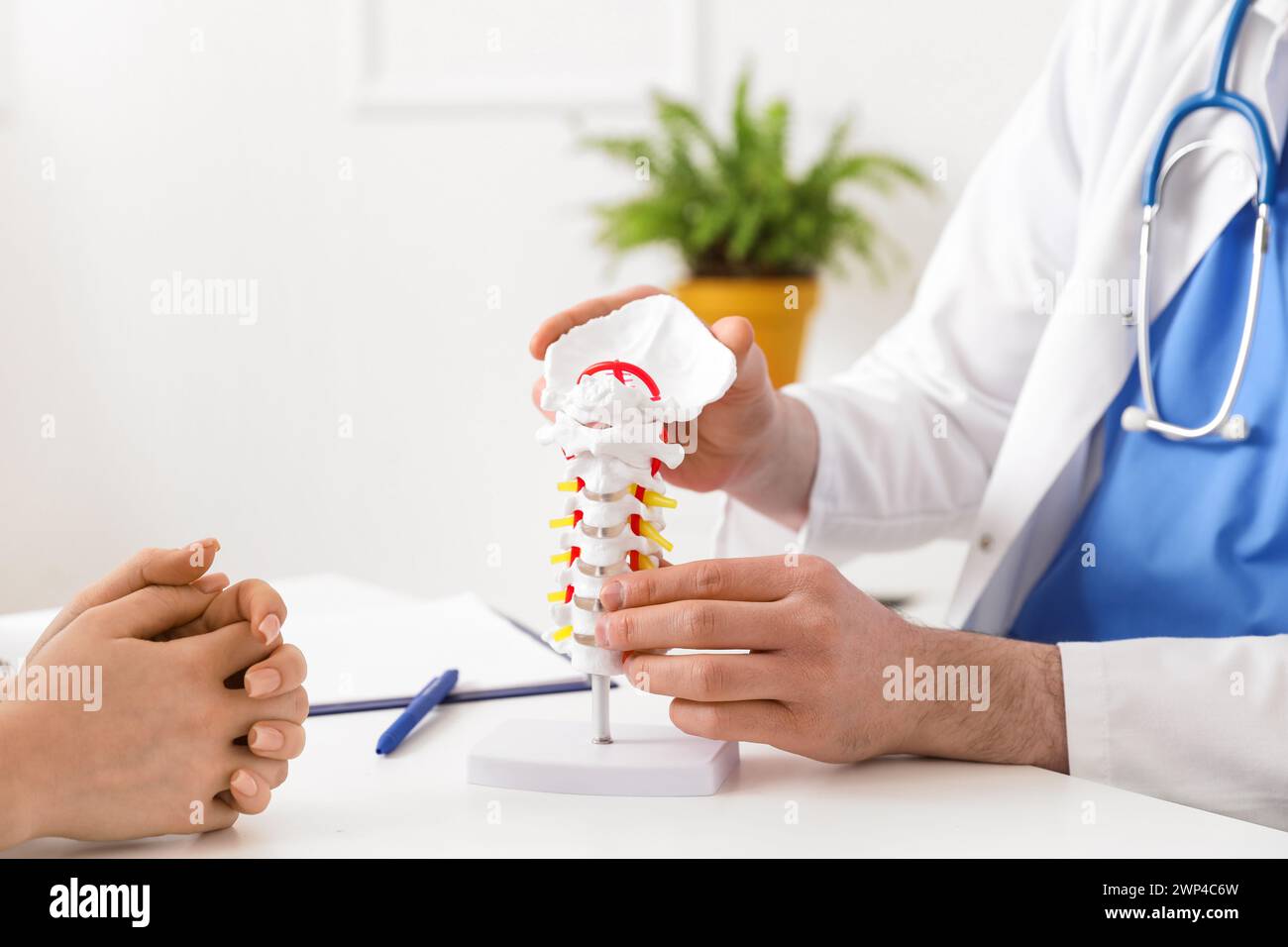 Male doctor explaining spinal anatomy with vertebral column model to ...