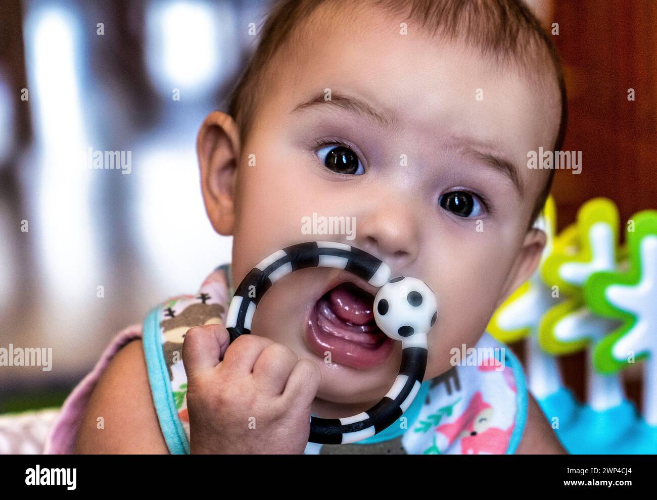 Five-month old baby girl is a Newcastle United fan Stock Photo - Alamy