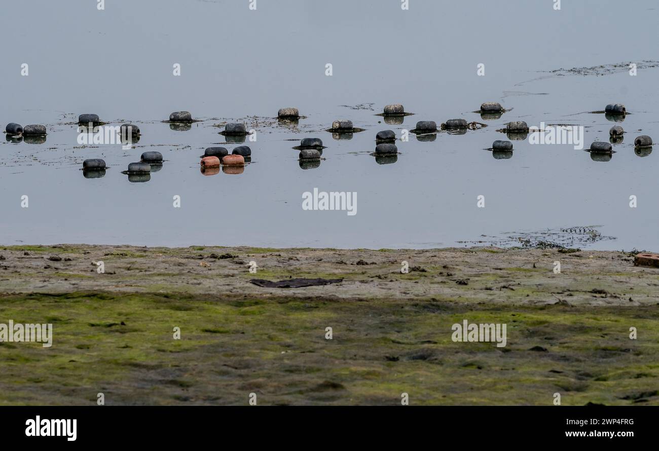 Black and red floats attached to a fishing net floating on surface of ...