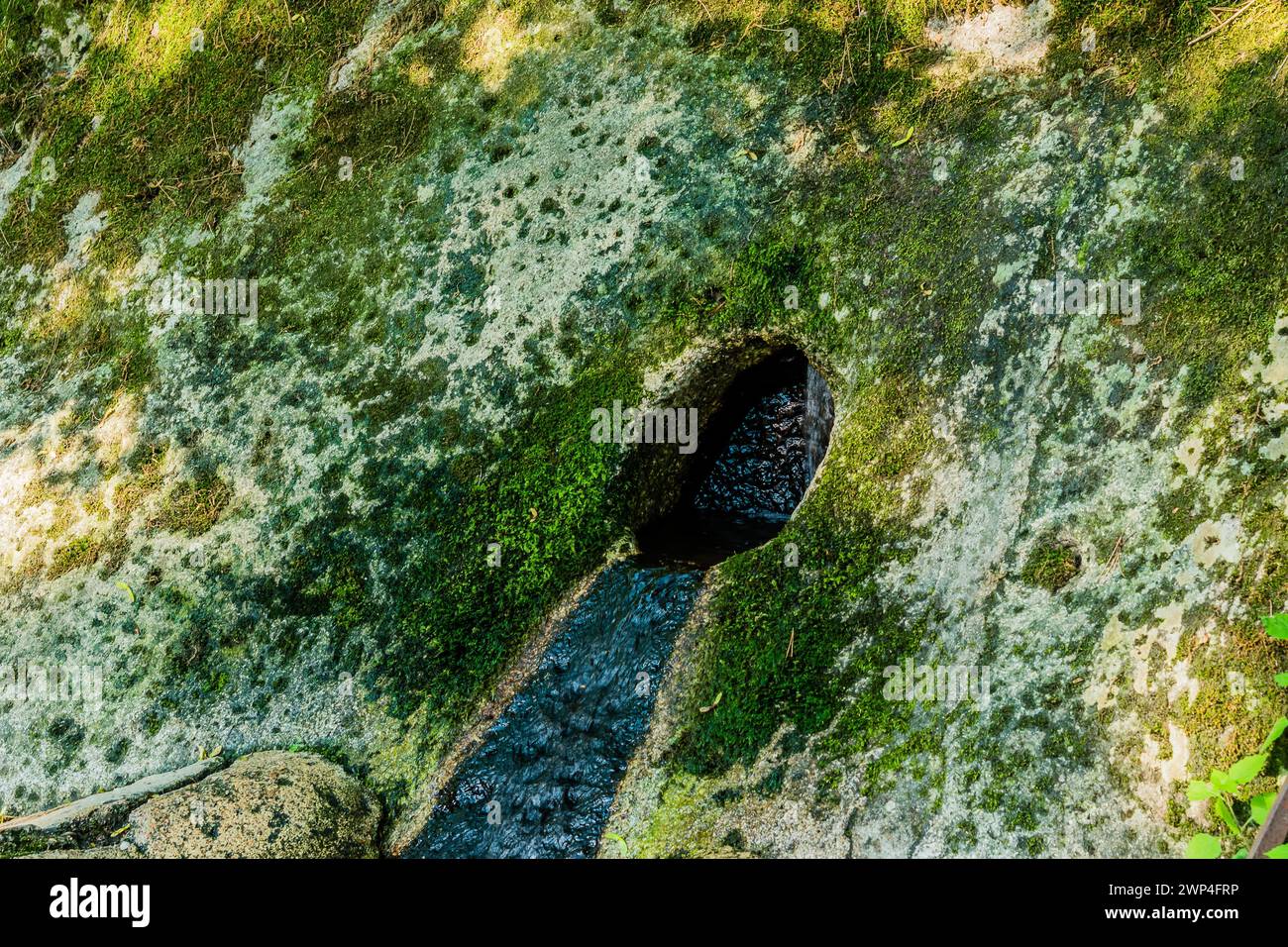 Green embankment hi-res stock photography and images - Alamy