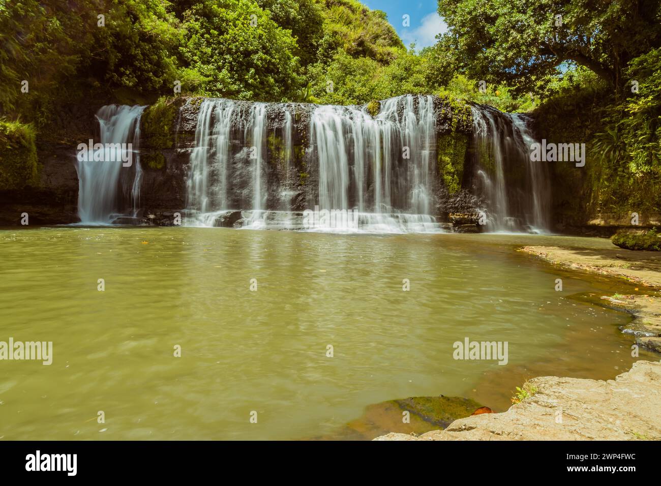 Fluid filter hi-res stock photography and images - Alamy