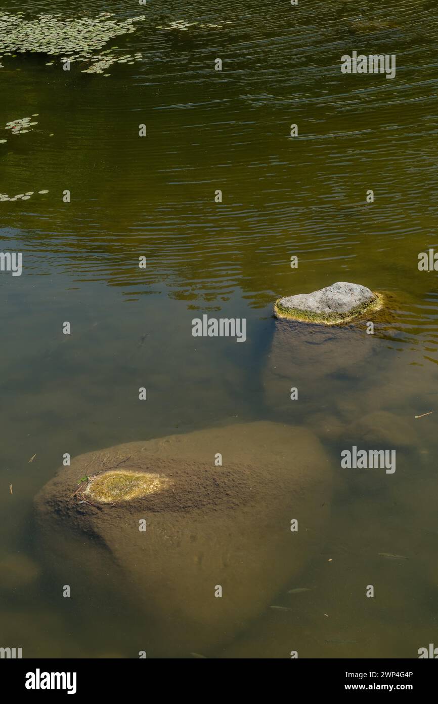 Two stones submerged in calm water with clear reflections, in South ...