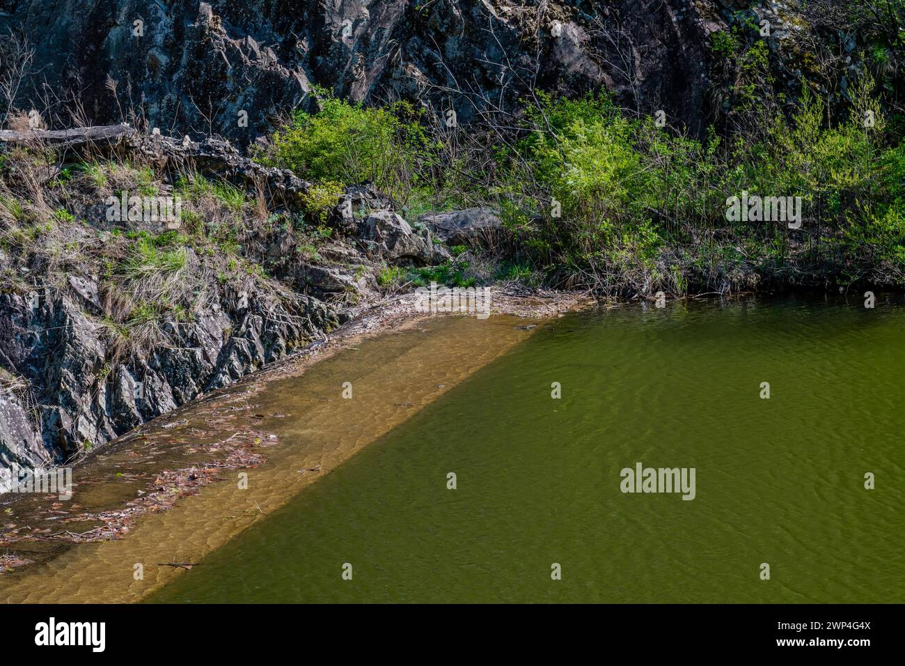 Riverbank flora hi-res stock photography and images - Alamy