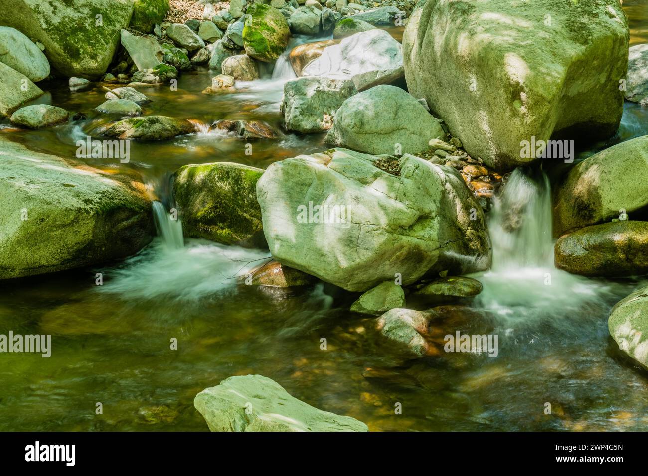 Sunlit forest cascade hi-res stock photography and images - Alamy