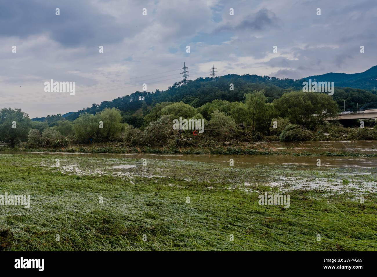 Expansive flooded landscape with trees partially submerged underwater ...