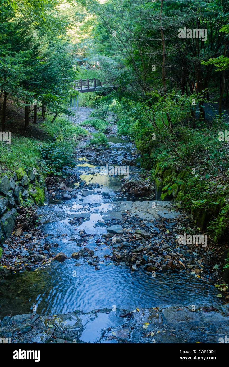 Shallow man made stream through recreational forest on sunny summer ...