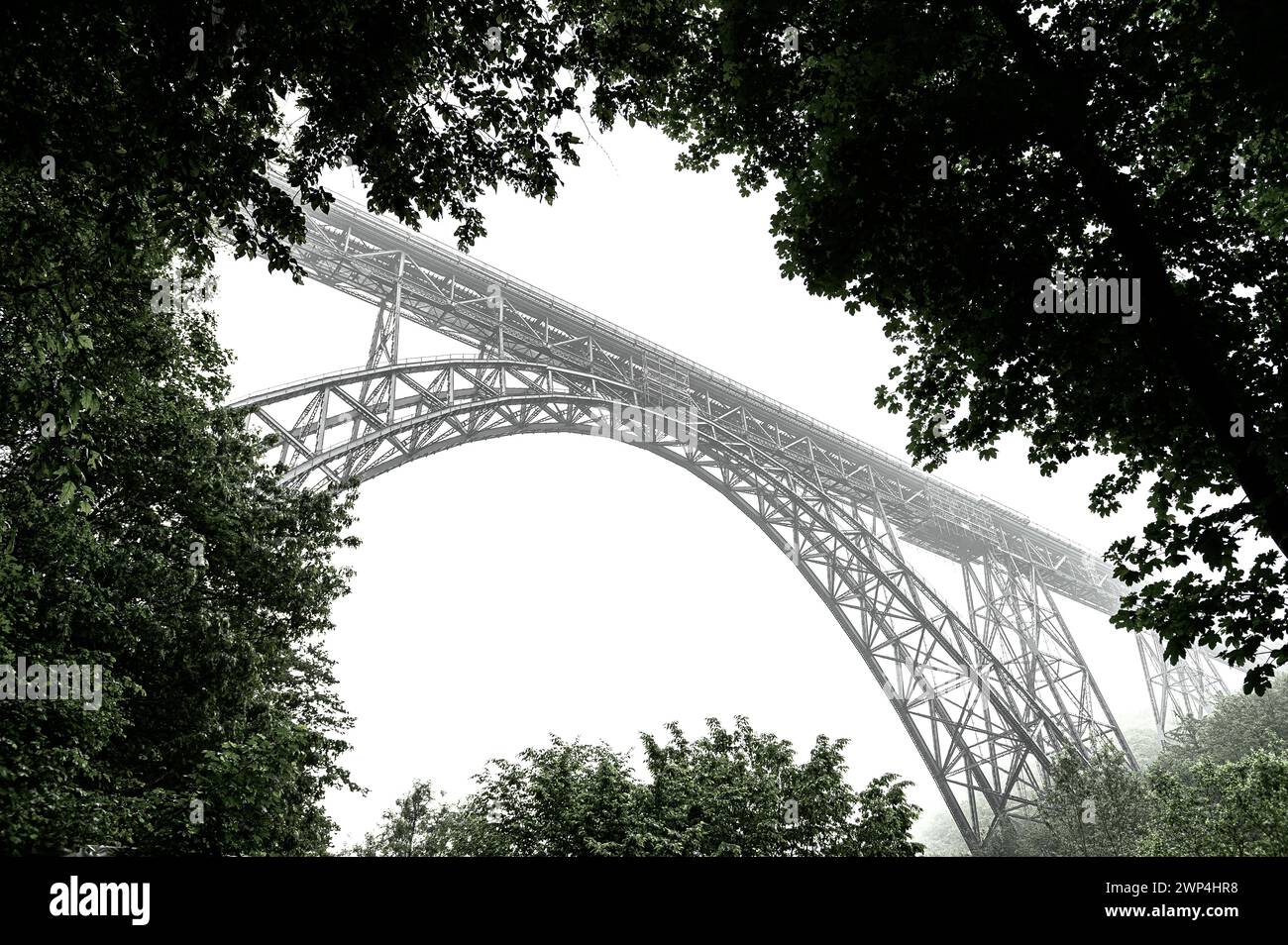 A bridge rises above trees shrouded in mist in an atmospheric black and ...