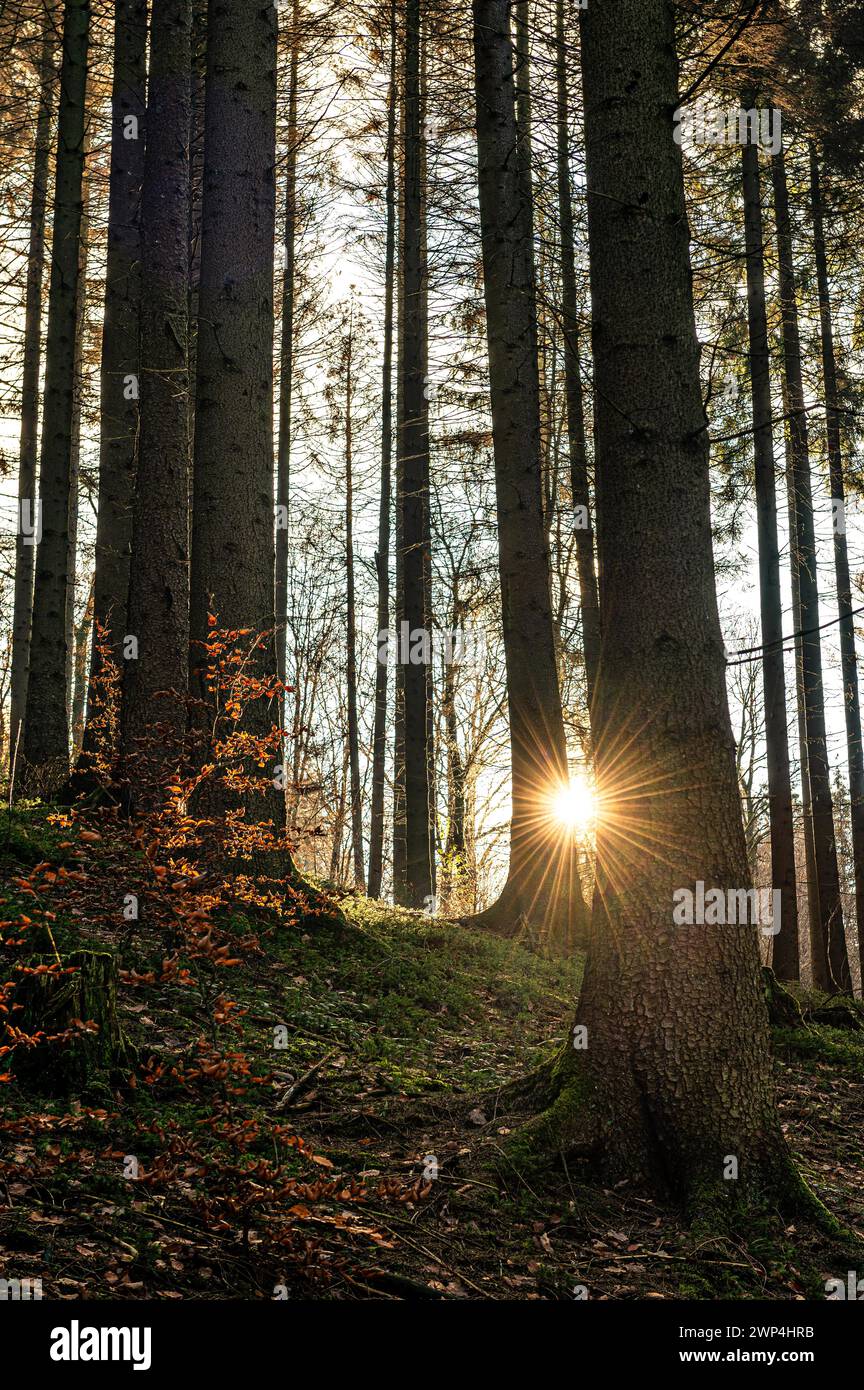 Play and dense hi-res stock photography and images - Alamy