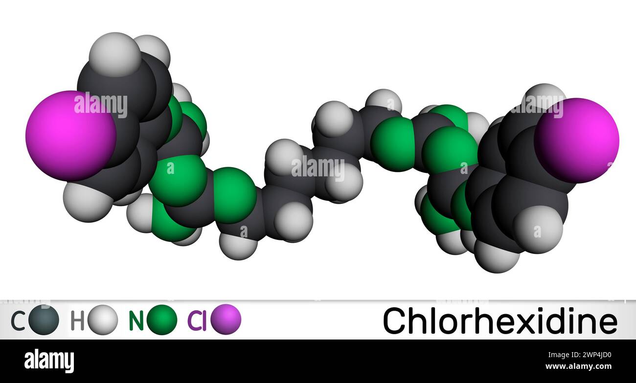 Chlorhexidine disinfectant and antiseptic drug molecule. Molecular ...