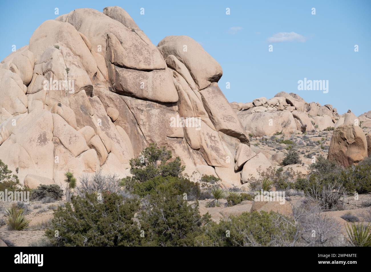 Face rock in Joshua Tree is a rock formation that resembles the profile ...
