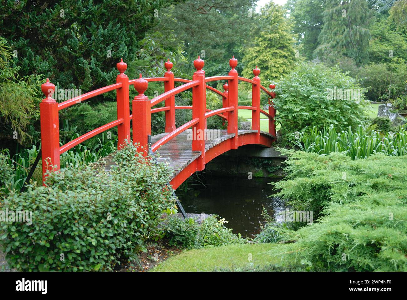 Japanese garden bridge hi-res stock photography and images - Alamy