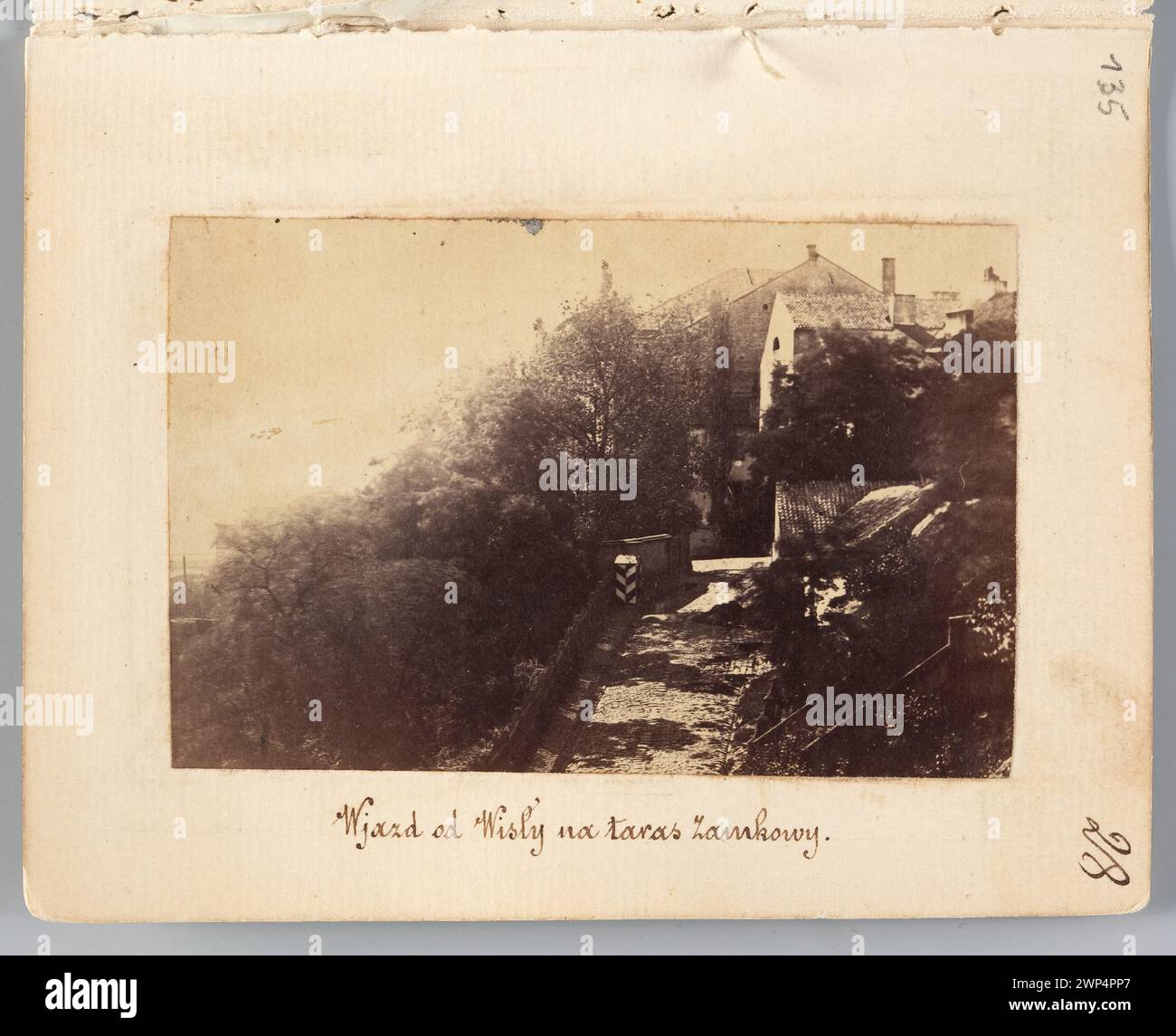 Leopold 1850 1912 collection hi-res stock photography and images - Alamy