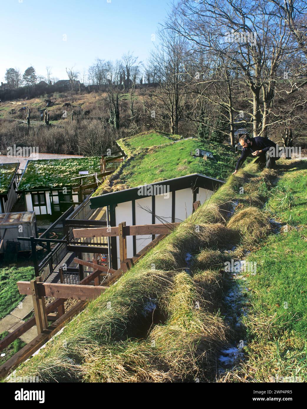 Segal system hi-res stock photography and images - Alamy