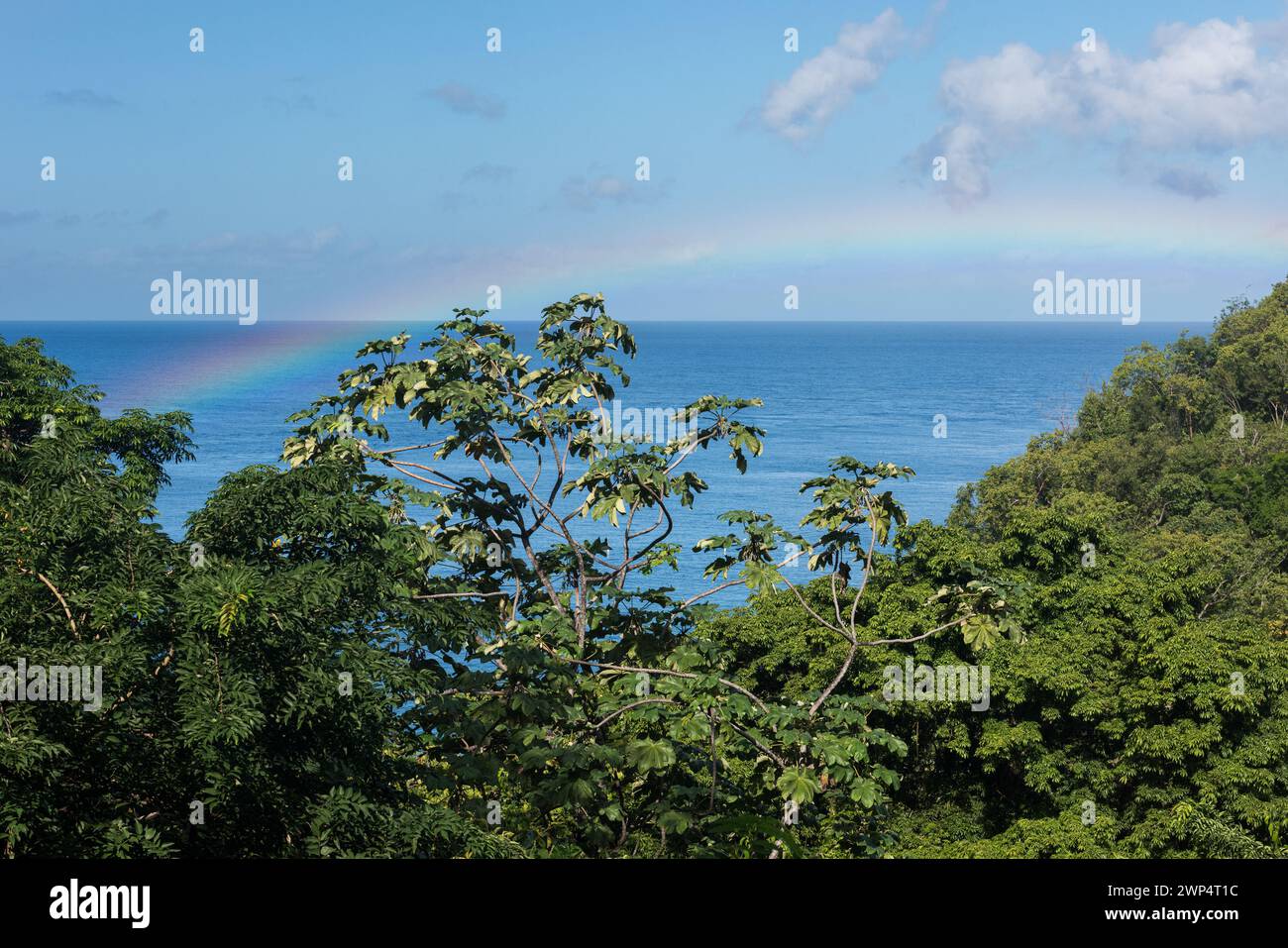A rainbow frames the view looking West to the Caribbean Sea through ...