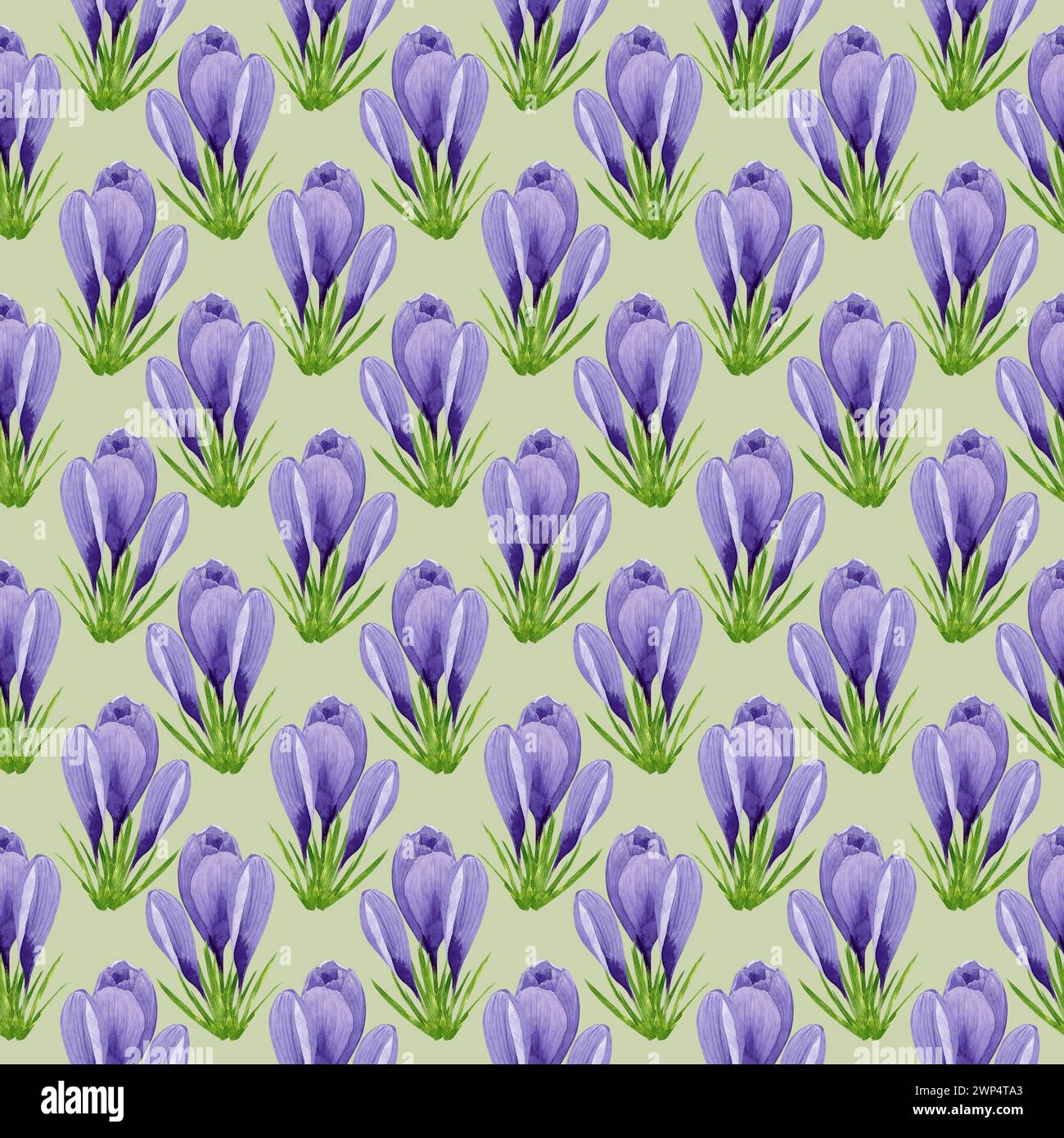 Watercolor spring crocuses seamless pattern, spring flower digital ...