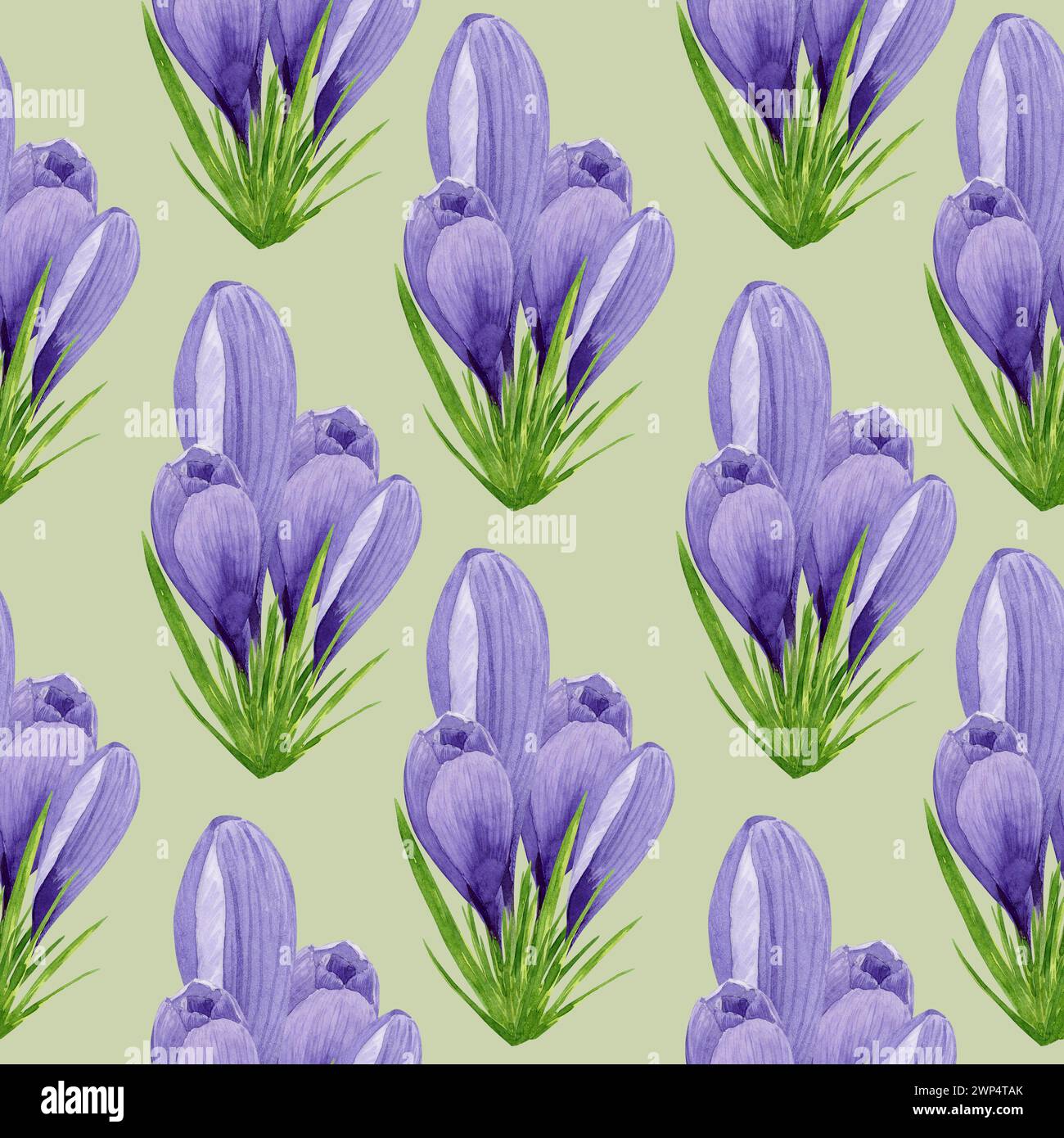 Watercolor spring crocuses seamless pattern, spring flower digital ...