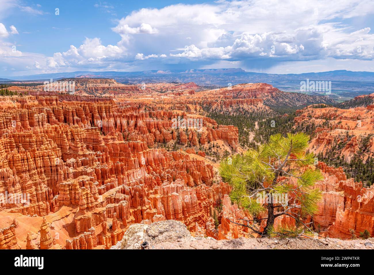 Rock hoodoos in Brice Canyon National Park, Utah, USA Stock Photo - Alamy