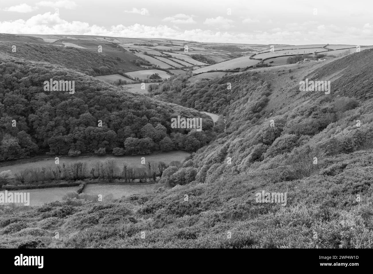 Landscape photo of the Doone valley in Exmoor National Park Stock Photo ...