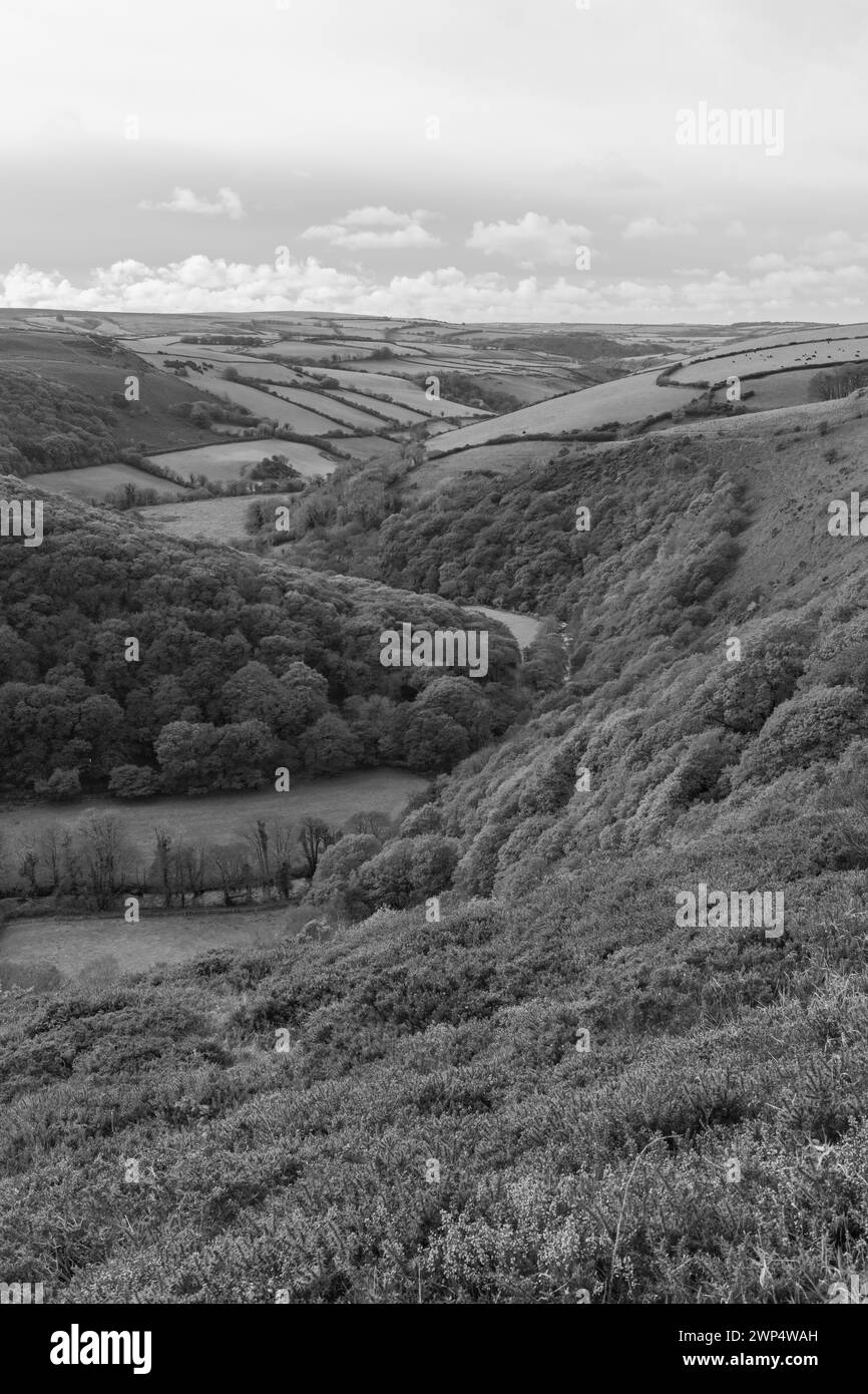Landscape photo of the Doone valley in Exmoor National Park Stock Photo ...