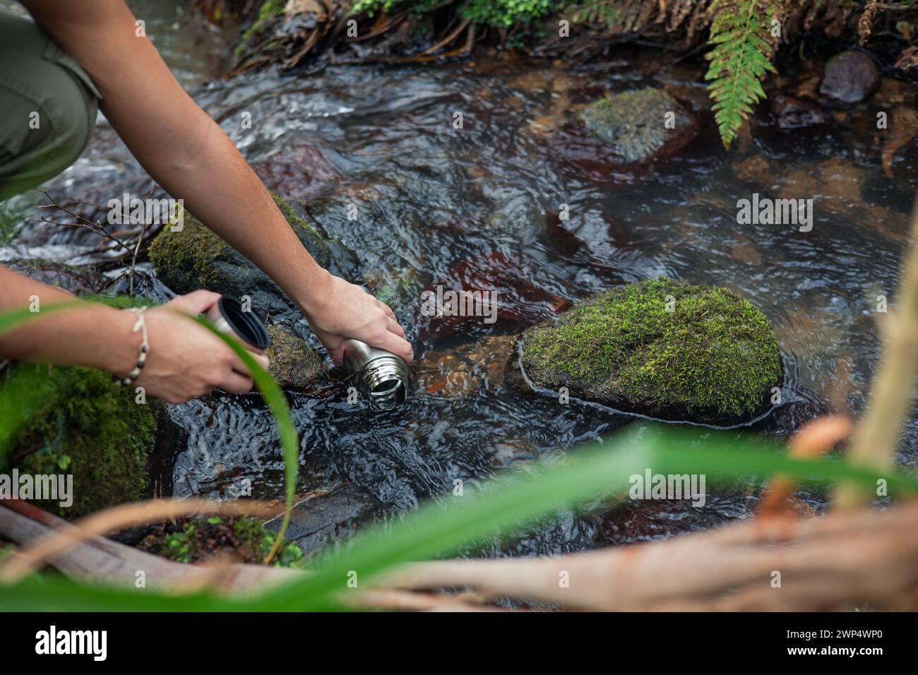 In the serene heart of the forest, skilled hands dip into a crystal ...